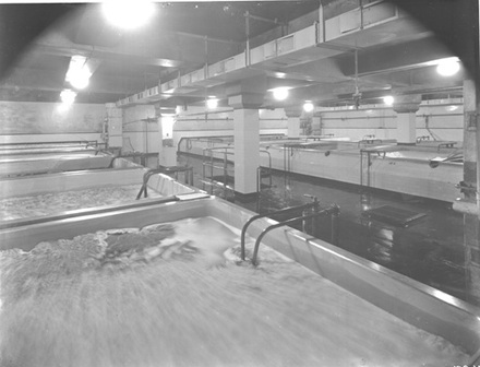 [Brew house interior, Waitemata Brewery] - Collections Online ...