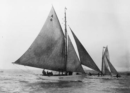 Waitangi. - Collections Online - Auckland War Memorial Museum