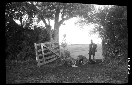 [Portrait of a sheep farmer - Scott's Farm, Hawera] - Collections ...