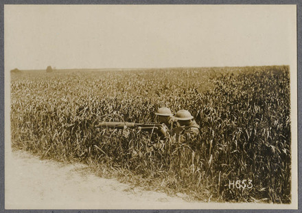 Machine gun in the growing corn. - Collections Online - Auckland War ...