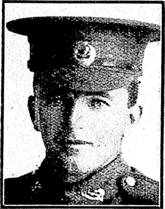 Archibald Morgan - Online Cenotaph - Auckland War Memorial Museum