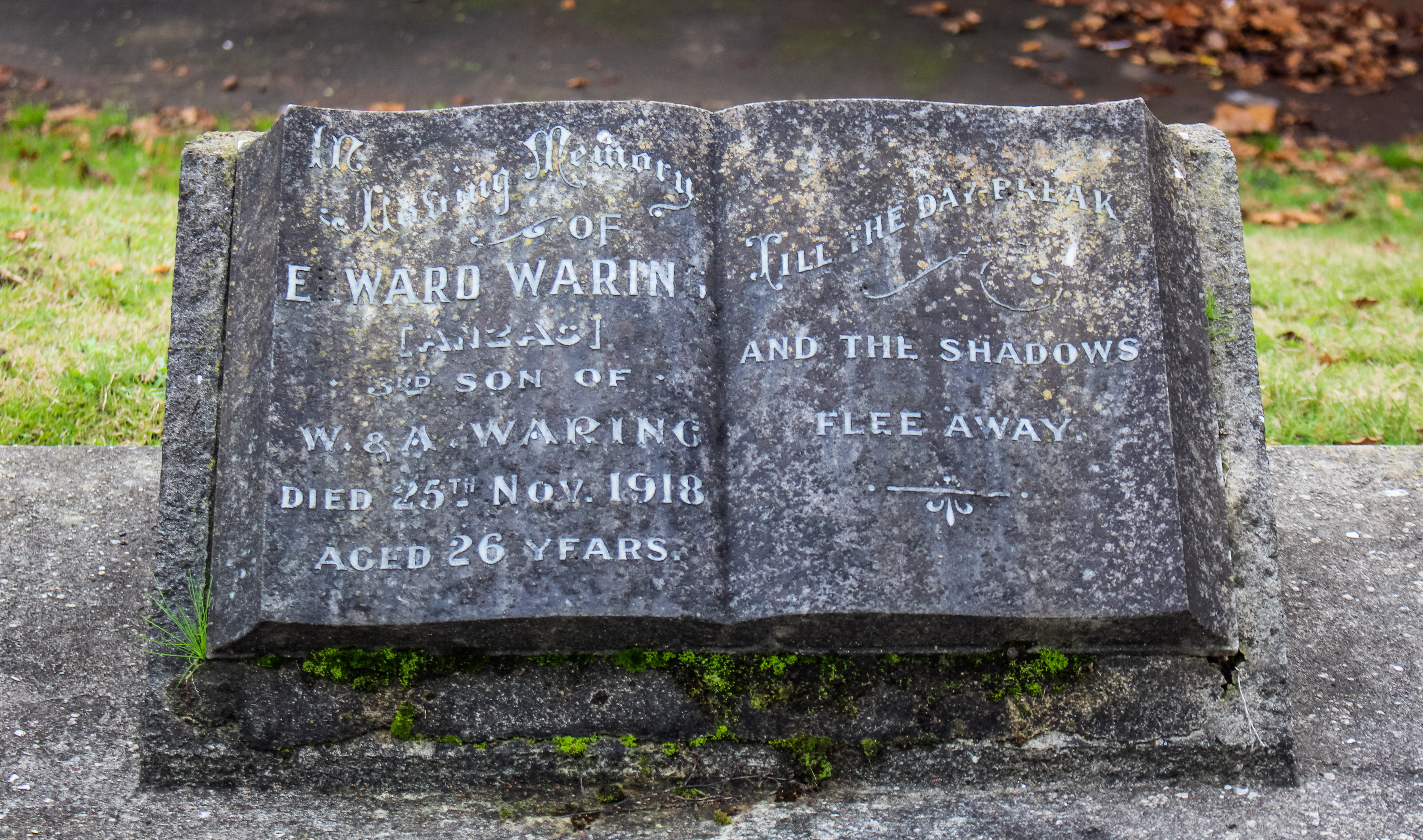 Edward Waring - Online Cenotaph - Auckland War Memorial Museum