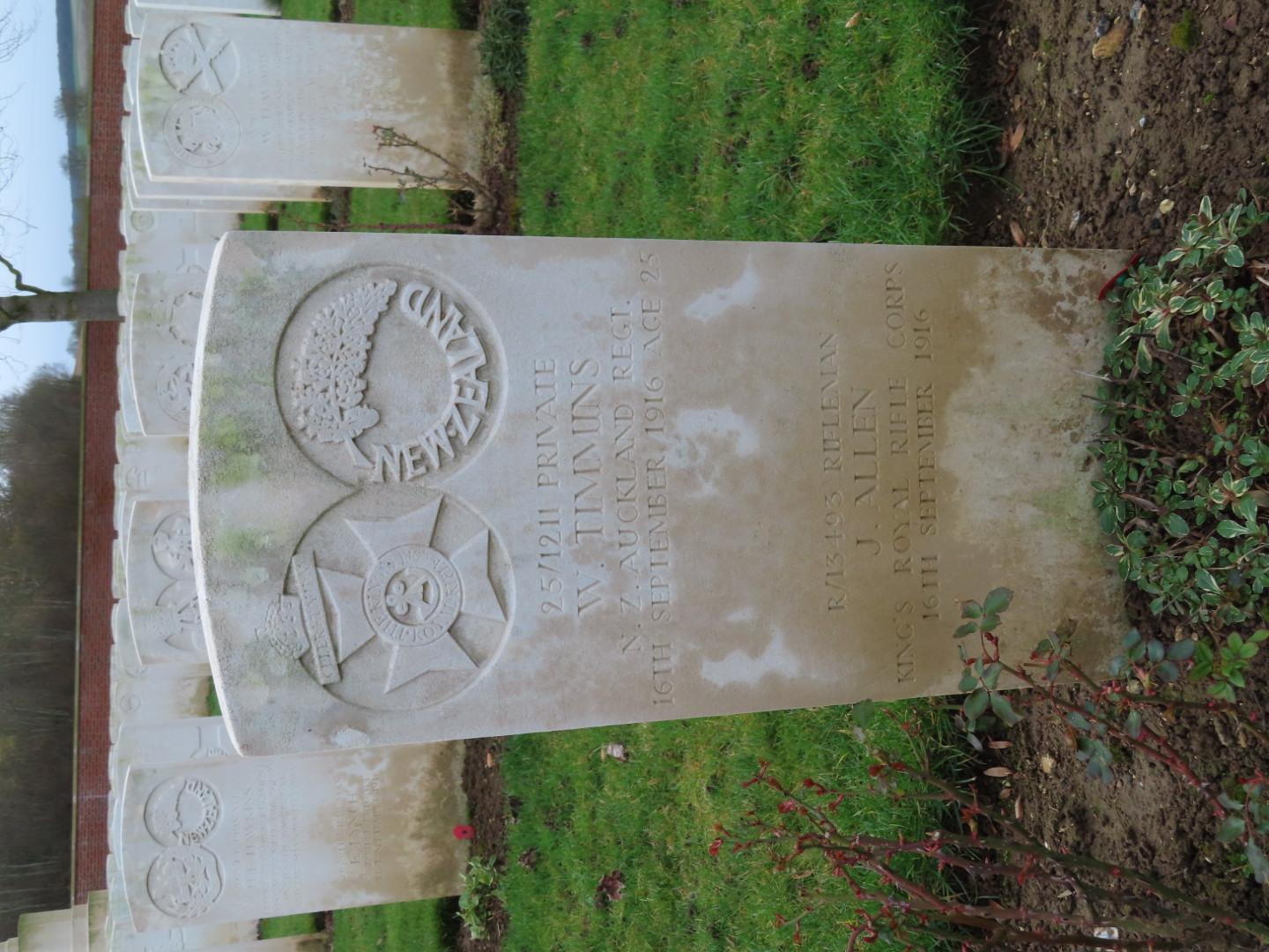 William Timmins - Online Cenotaph - Auckland War Memorial Museum