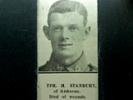 Harry Stanbury - Online Cenotaph - Auckland War Memorial Museum