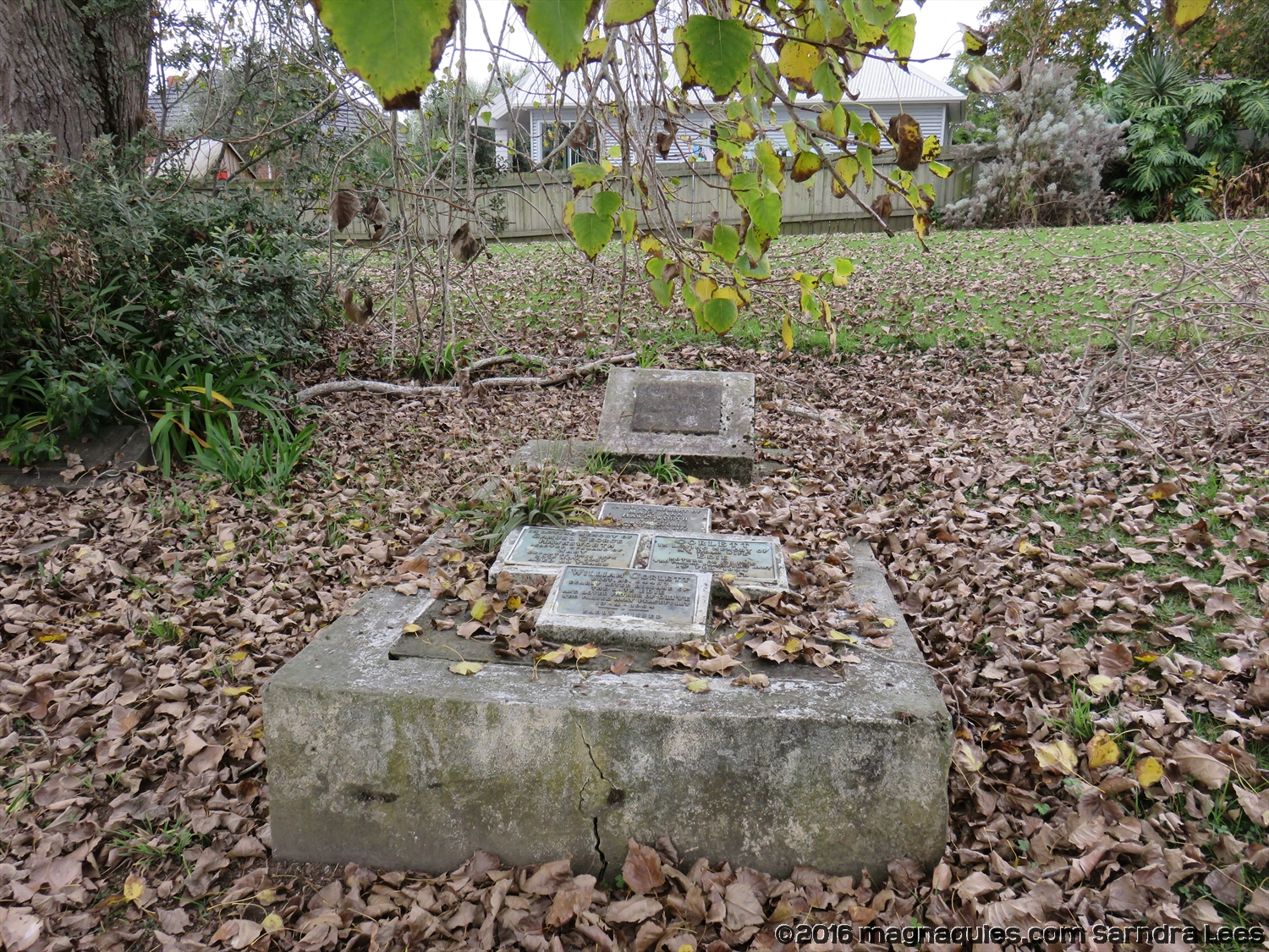 William Corlett - Online Cenotaph - Auckland War Memorial Museum