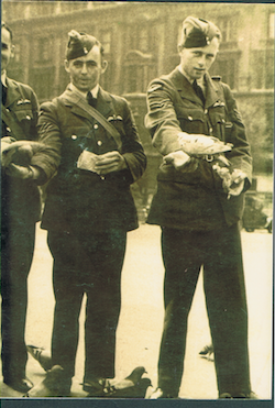 Revell Jackson Steed - Online Cenotaph - Auckland War Memorial Museum