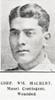 William Halbert - Online Cenotaph - Auckland War Memorial Museum