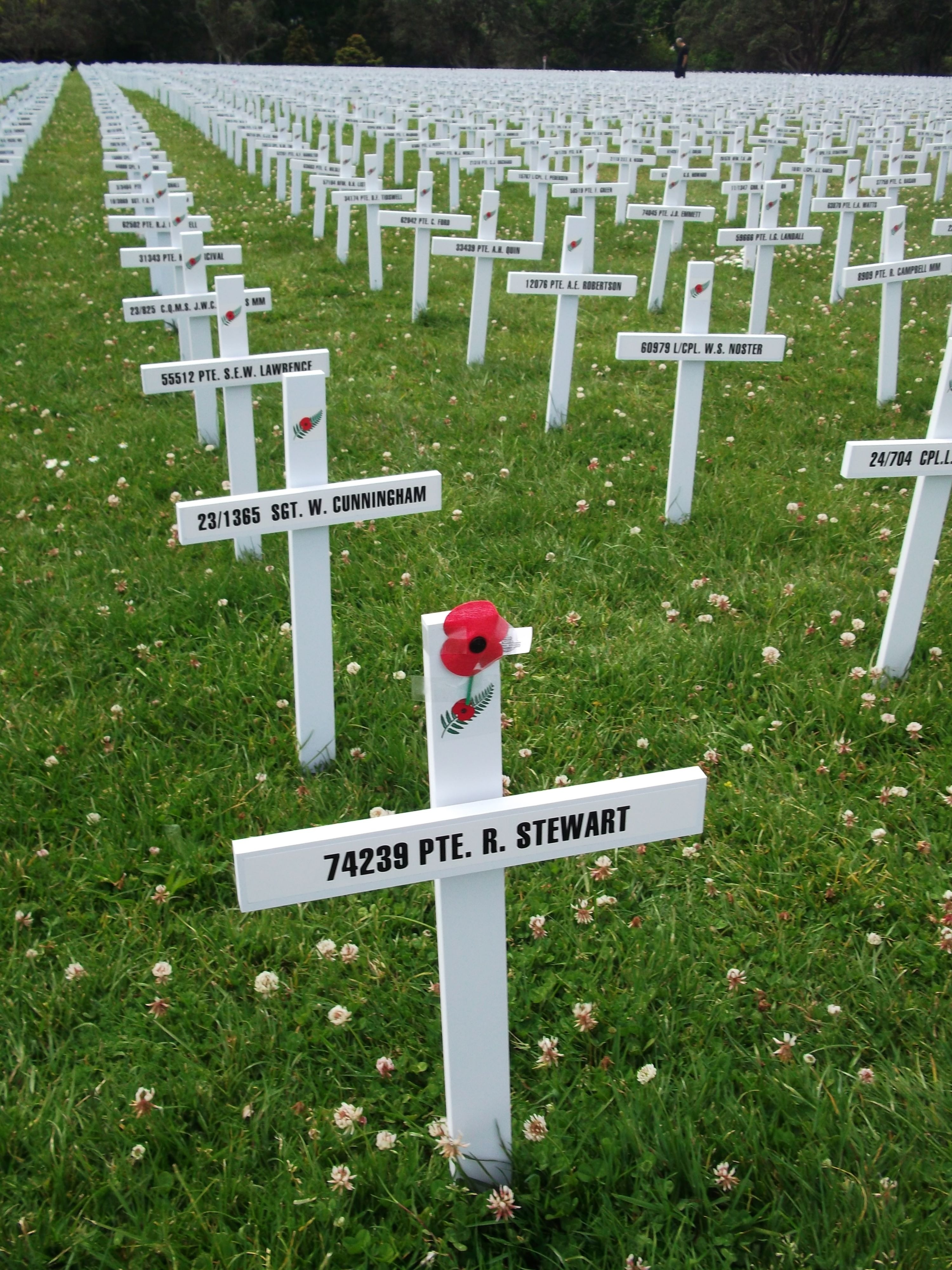 Roderick Stewart - Online Cenotaph - Auckland War Memorial Museum