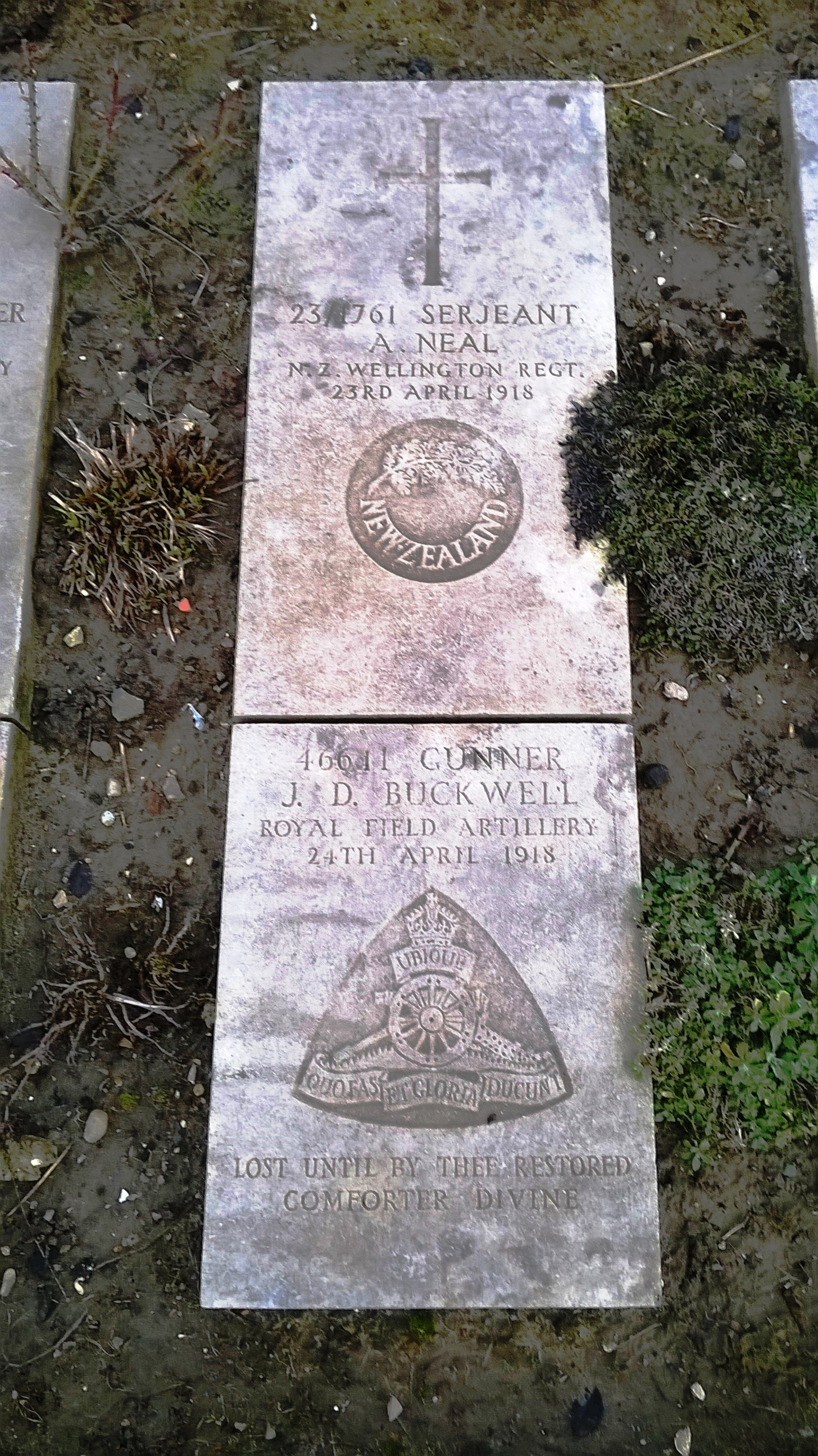 Alfred Neal - Online Cenotaph - Auckland War Memorial Museum