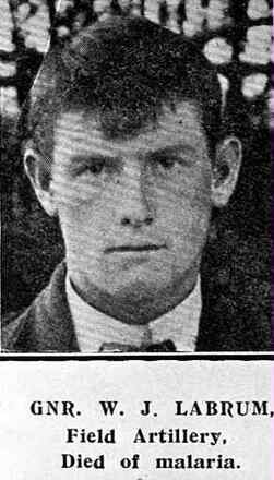 William Joseph Labrum - Online Cenotaph - Auckland War Memorial Museum