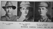 Ernest Arthur Woolley - Online Cenotaph - Auckland War Memorial Museum