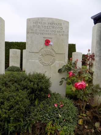 Thomas James Heald - Online Cenotaph - Auckland War Memorial Museum