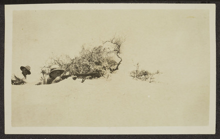 Lionel Egbert Galbraith - Online Cenotaph - Auckland War Memorial Museum