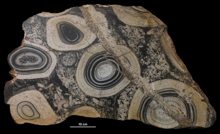 Rock and Mineral Types Rocks Igneous Intrusive "Granites" Granite ...