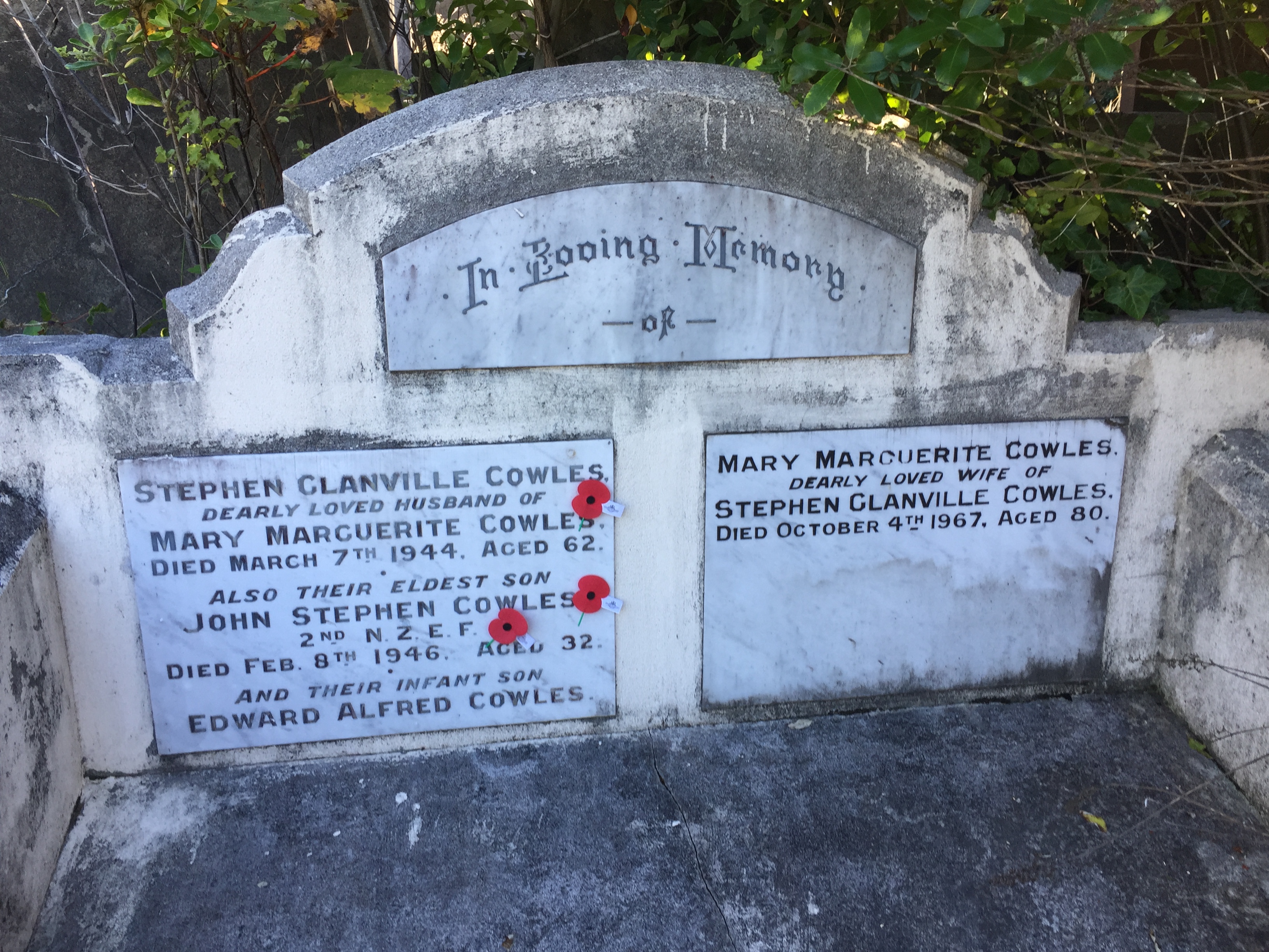 Stephen Glanville Cowles - Online Cenotaph - Auckland War Memorial Museum