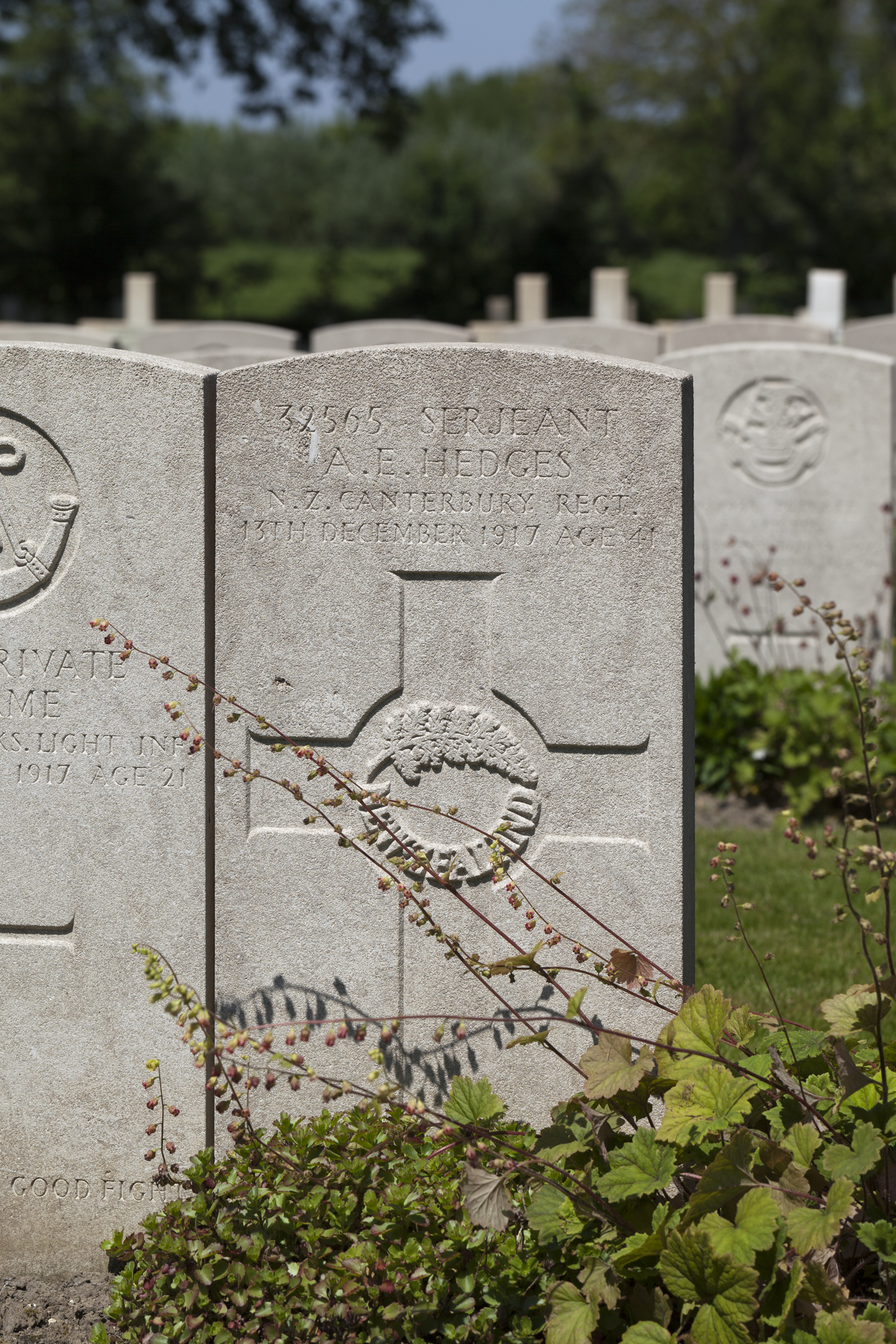 Alfred Ernest Hedges - Online Cenotaph - Auckland War Memorial Museum