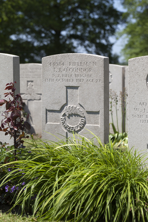 Timothy Joseph O'Connor - Online Cenotaph - Auckland War Memorial Museum