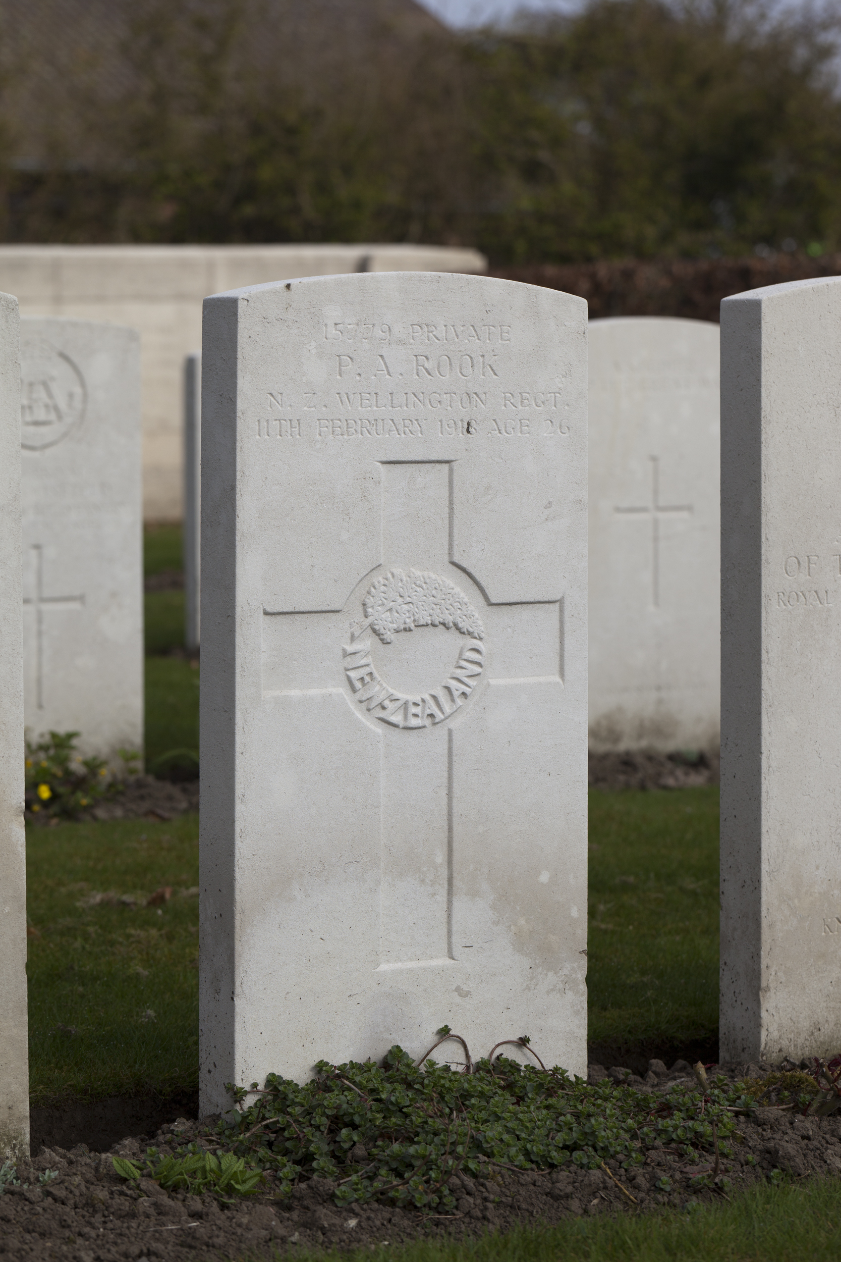 Percy Arthur Rook - Online Cenotaph - Auckland War Memorial Museum