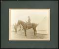 Rowland Francis Piper - Online Cenotaph - Auckland War Memorial Museum